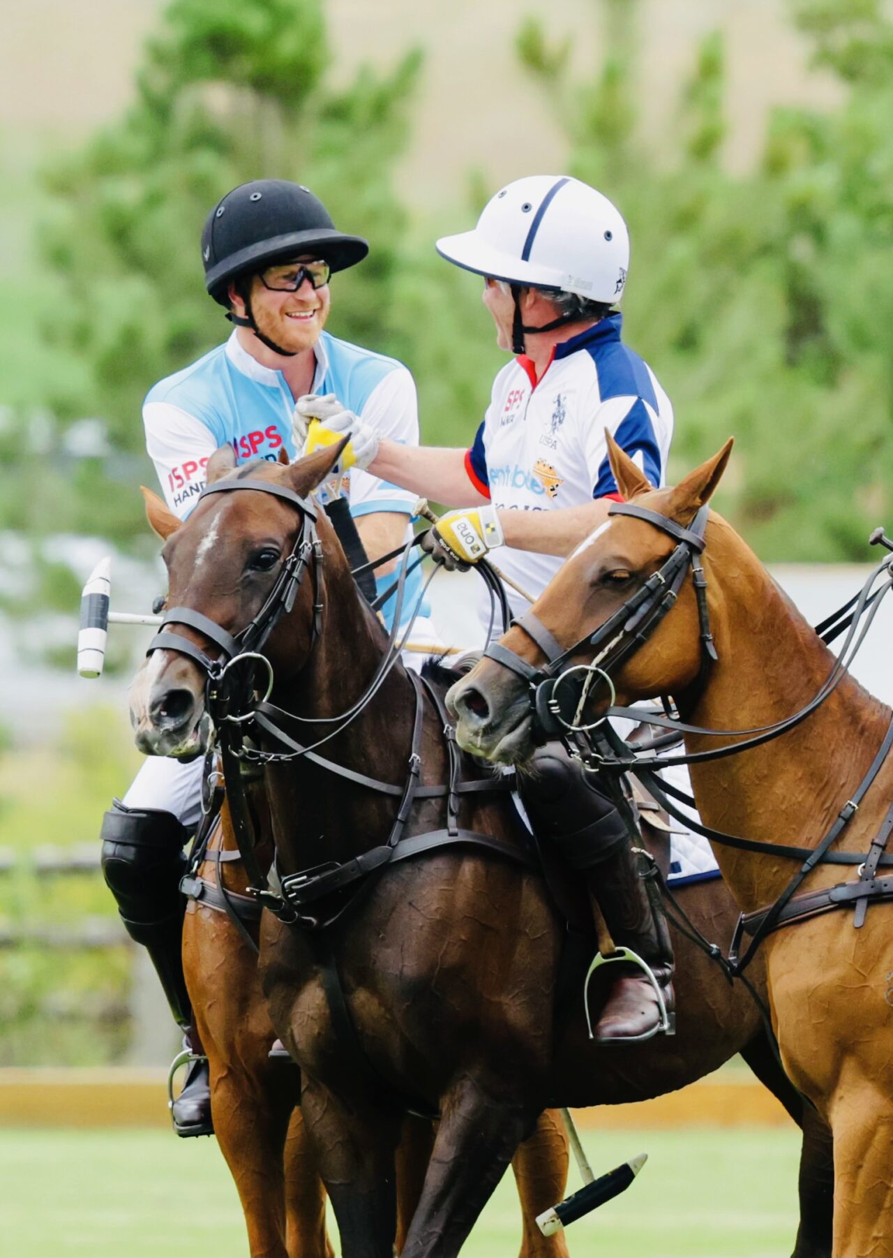 Waivers in Horse and Equine Cases | Clark vonPlonski Anderson